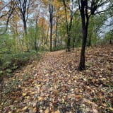 Hogs Back Falls Loop, Ontario, Canada - 303 Reviews, Map | AllTrails