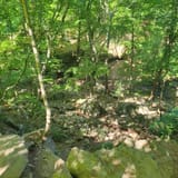 Lost Canyon Trail, Wisconsin - 891 Reviews, Map | AllTrails