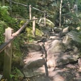 Lost Canyon Trail, Wisconsin - 891 Reviews, Map | AllTrails