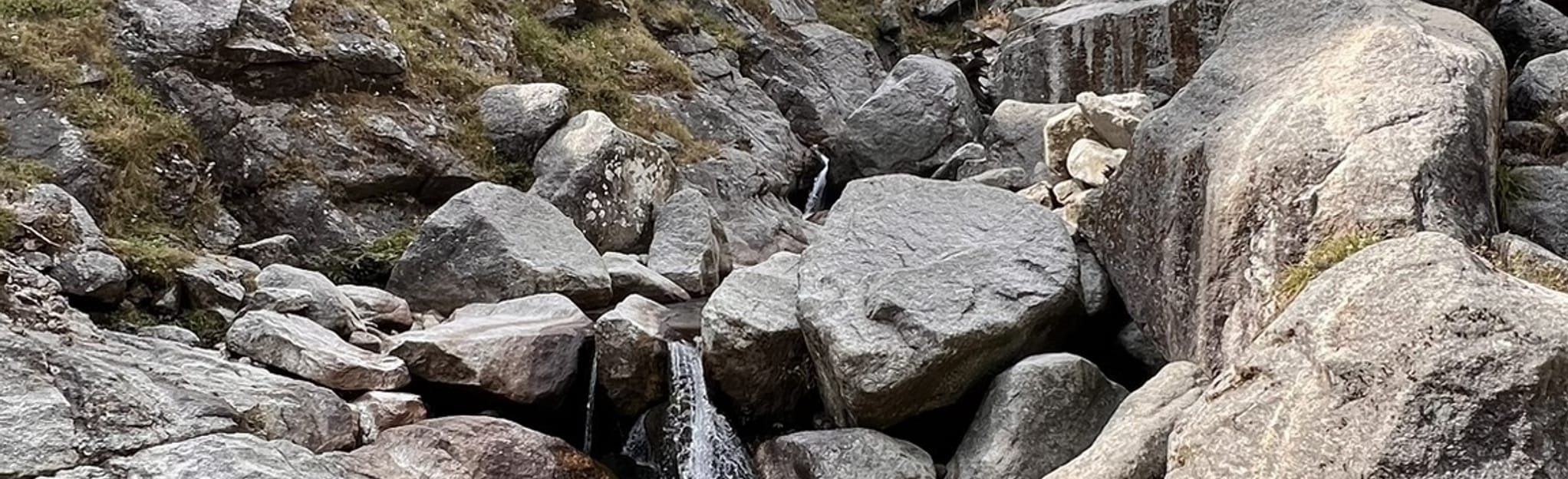 Salli - Jammu Goth Trail, Himachal Pradesh, India - Map, Guide | AllTrails