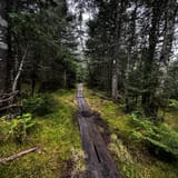 Mount Jackson and Mount Webster Trail Loop, New Hampshire - 2,051 ...