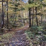 Snake Den Ridge Trail, Tennessee - 109 Reviews, Map | AllTrails