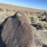 Grimes Point Petroglyphs, Nevada - 72 Reviews, Map | AllTrails