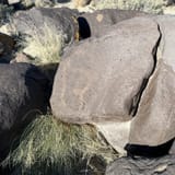 Grimes Point Petroglyphs, Nevada - 72 Reviews, Map | AllTrails