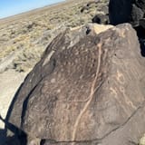 Grimes Point Petroglyphs, Nevada - 72 Reviews, Map | AllTrails