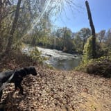 Haw River Trail: Saxapahaw Section, North Carolina - 245 Reviews, Map ...