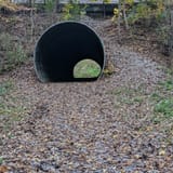 Clio Park Trail, Michigan - 131 Reviews, Map | AllTrails