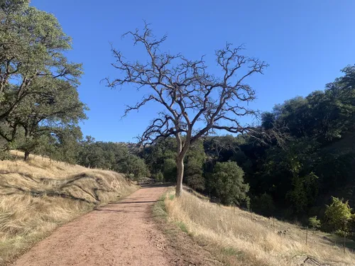 Best Hikes and Trails in Spenceville Wildlife Area | AllTrails