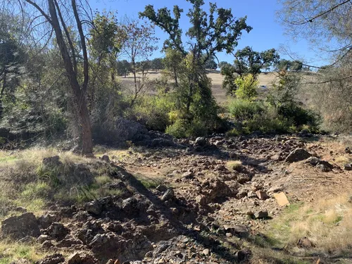 Best Hikes and Trails in Spenceville Wildlife Area | AllTrails