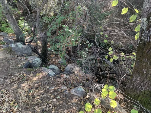 Best Hikes and Trails in Spenceville Wildlife Area | AllTrails