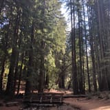 Lake Lagunitas, California - 645 Reviews, Map | AllTrails