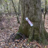 Dauset Nature Center Loop, Georgia - 755 Reviews, Map | AllTrails