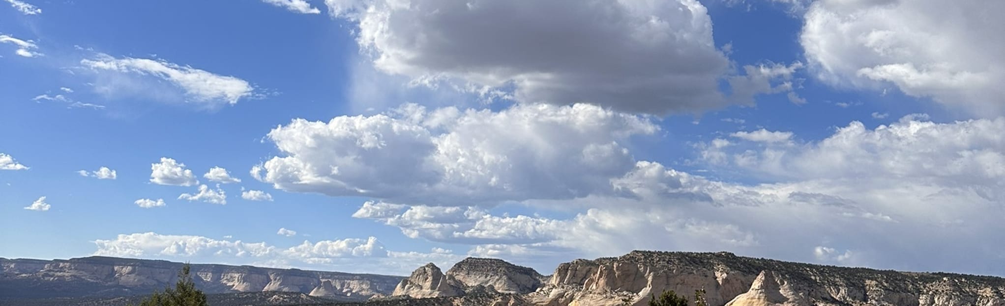 Cutler Point, Utah - 214 Reviews, Map | AllTrails