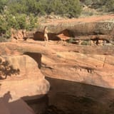 Bell Trail, Arizona - 3,031 Reviews, Map | AllTrails