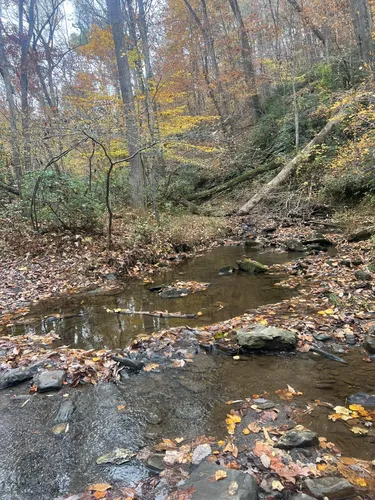 2023 Best Lake Trails in Hunt Valley | AllTrails