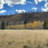 Inner Basin Trail, Arizona - 881 Reviews, Map | AllTrails