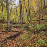 Low Gap Trail , Indiana - 1,232 Reviews, Map | AllTrails