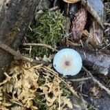 Weatherwax Trail, Washington - 294 Reviews, Map | AllTrails