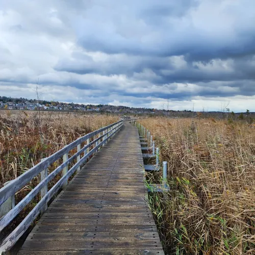 Best City Walk Trails in Magog | AllTrails