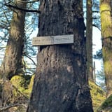 Angels Rest to Devil's Rest Loop Trail, Oregon - 1,222 Reviews, Map ...