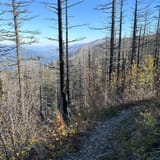 Angels Rest to Devil's Rest Loop Trail, Oregon - 1,222 Reviews, Map ...