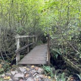 Angels Rest to Devil's Rest Loop Trail, Oregon - 1,222 Reviews, Map ...