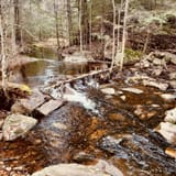 Maggie Lake, Ontario, Canada - 272 Reviews, Map | AllTrails