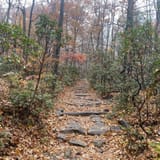 Black Rock via the Appalachian Trail, Maryland - 1,712 Reviews, Map ...