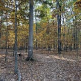 Hal and Berni Hanson Park Loop, Virginia - 104 Reviews, Map | AllTrails