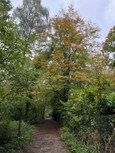 Best 10 Hiking Trails in Ruislip Woods National Nature Reserve | AllTrails