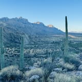 Sutherland Trail, Arizona - 207 Reviews, Map | AllTrails