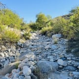 Sutherland Trail, Arizona - 207 Reviews, Map | AllTrails