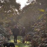 Ryton Pools Country Park Circular, West Midlands, England - 126 Reviews ...