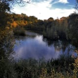 Ryton Pools Country Park Circular, West Midlands, England - 126 Reviews ...