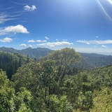 Manoa Cliff Trail, Oahu, Hawaii - 795 Reviews, Map | AllTrails