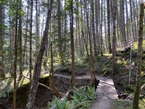 10 Best Hikes and Trails in North Cowichan Municipal Forest Reserve ...