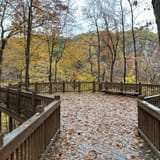 Dripping Rock Loop, Ohio - 2,020 Reviews, Map | AllTrails
