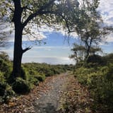 Black Point Trail, Rhode Island - 694 Reviews, Map | AllTrails