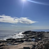 Black Point Trail, Rhode Island - 694 Reviews, Map | AllTrails