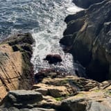 Black Point Trail, Rhode Island - 727 Reviews, Map | AllTrails
