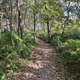 Black Point Trail, Rhode Island - 727 Reviews, Map | AllTrails