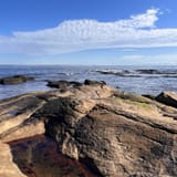 Black Point Trail, Rhode Island - 727 Reviews, Map | AllTrails