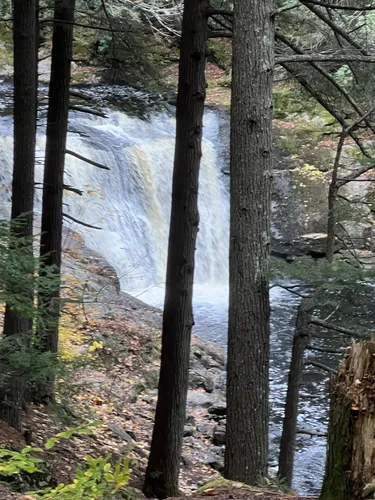 2023 Best Wildlife Trails in Tully Lake Recreation Area | AllTrails