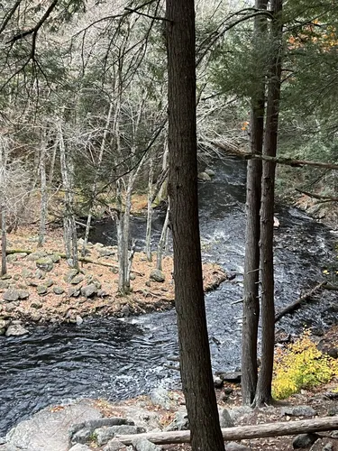 2023 Best Wildlife Trails in Tully Lake Recreation Area | AllTrails