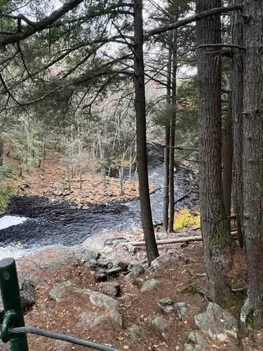 2023 Best Wildlife Trails in Tully Lake Recreation Area | AllTrails