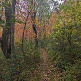 Riprap Trail , Virginia - 1,478 Reviews, Map | AllTrails