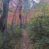 Riprap Trail , Virginia - 1,478 Reviews, Map | AllTrails