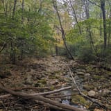 Riprap Trail , Virginia - 1,478 Reviews, Map | AllTrails