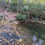 Riprap Trail , Virginia - 1,478 Reviews, Map | AllTrails