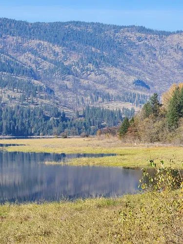 Best Hikes and Trails in Lake Roosevelt National Recreation Area ...